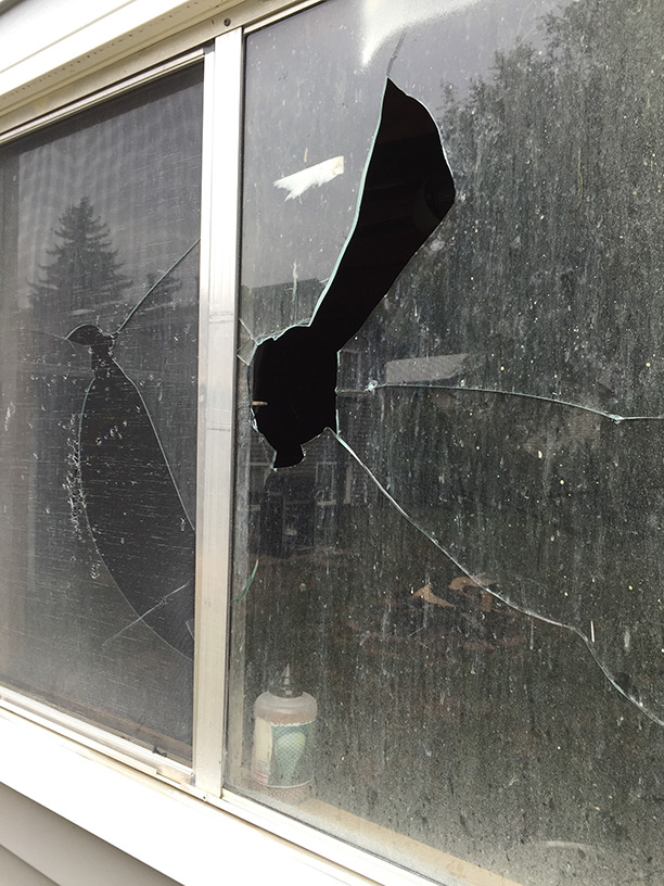 Window Glass Options & Selection - Colorado Glass Specialists